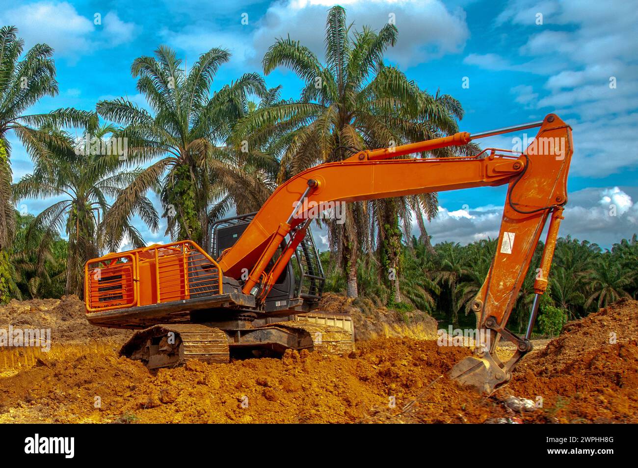 bulldozers in palm oil plantations Stock Photo - Alamy