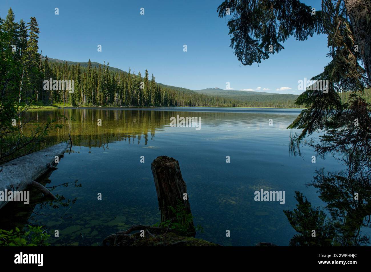 Gold Lake, near the summit of Oregon's Cascades. The small peak in the ...