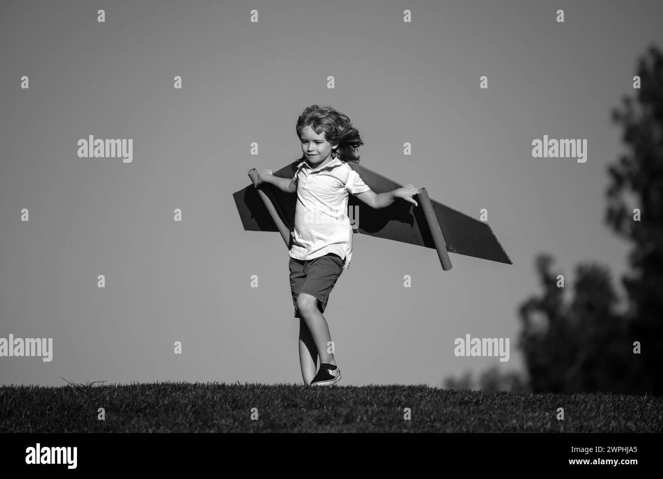 Kid boy playing with cardboard wings. Child in summer field. Kids ...