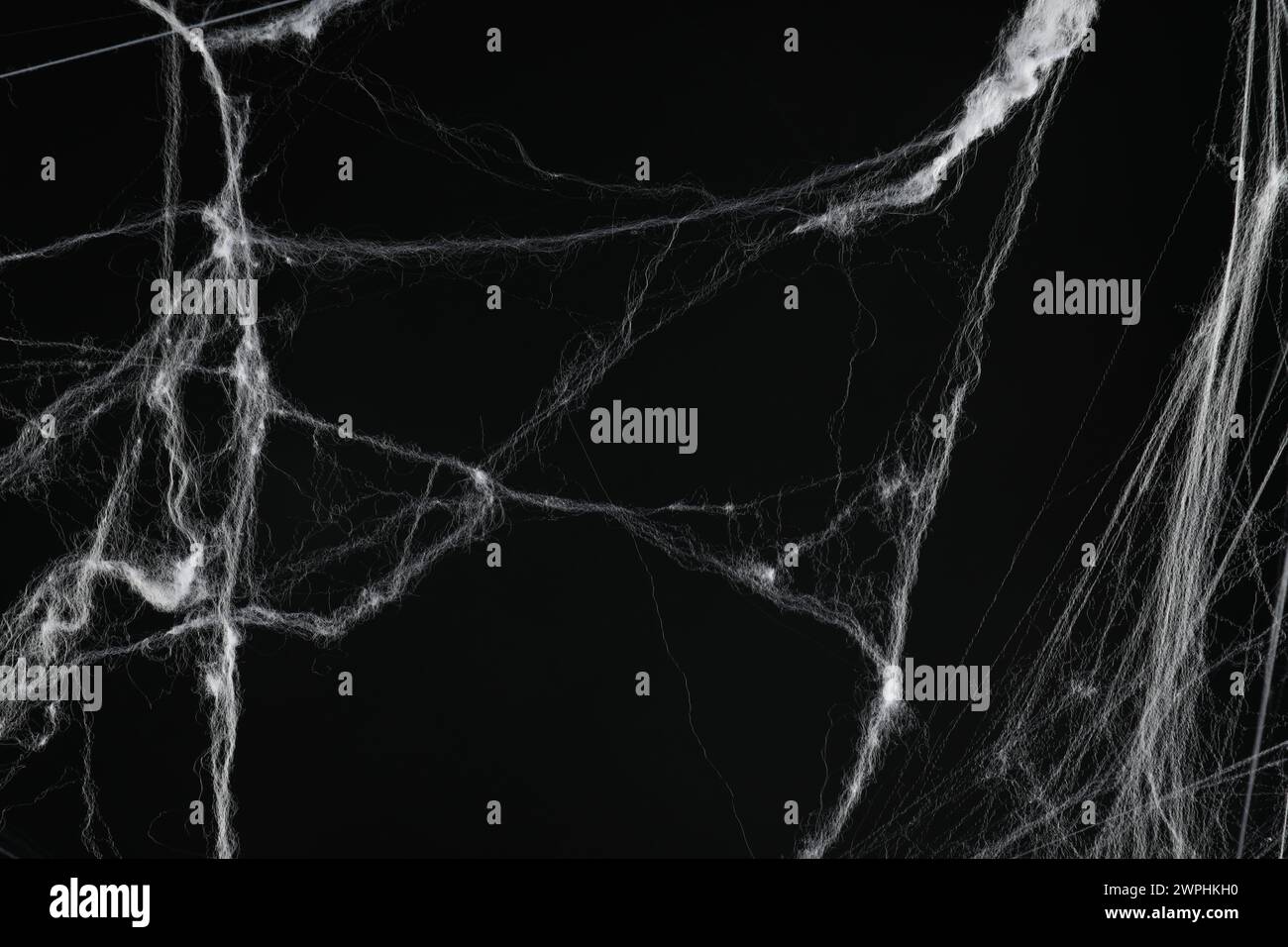 Creepy white spider web hi-res stock photography and images - Alamy