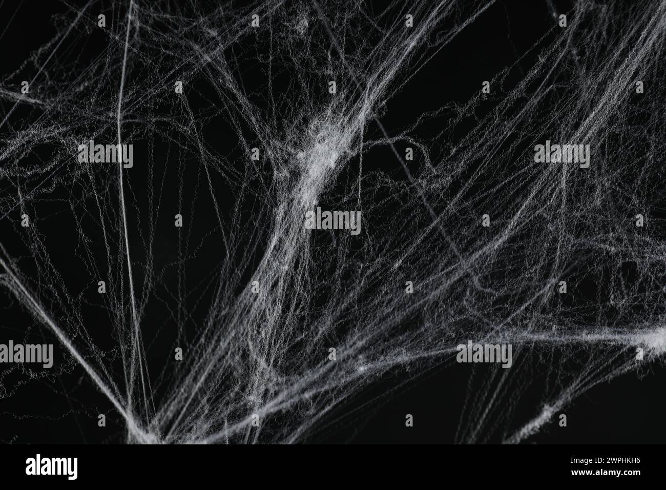 White spider web hi-res stock photography and images - Alamy