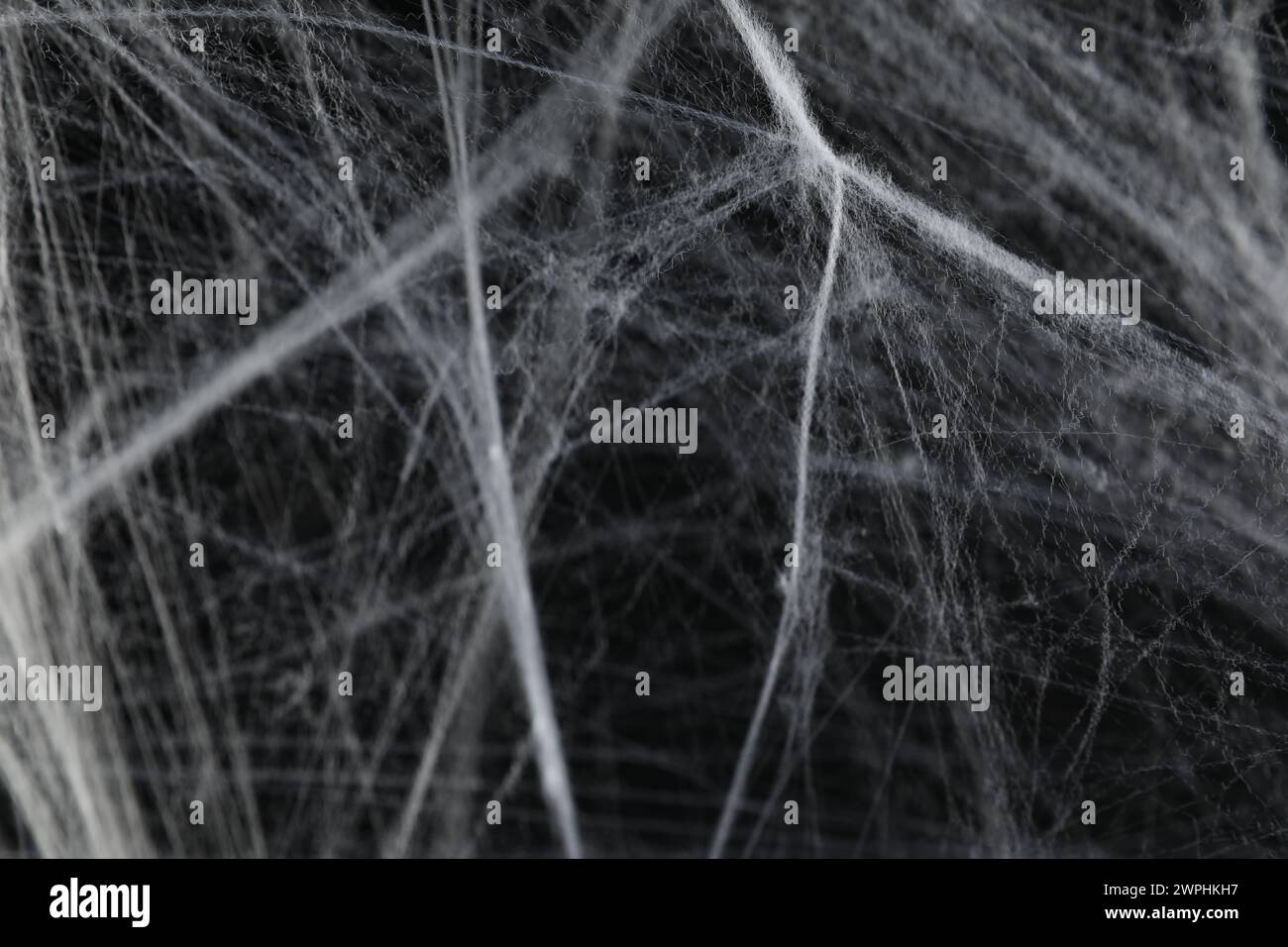 White cobweb on black hi-res stock photography and images - Alamy