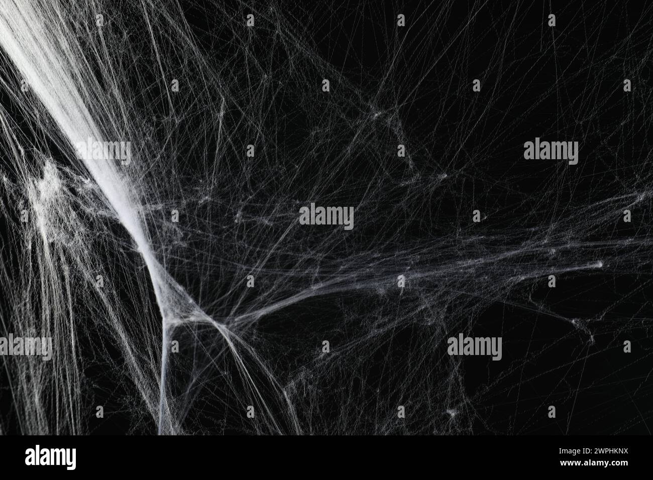 Creepy white spider web hi-res stock photography and images - Alamy