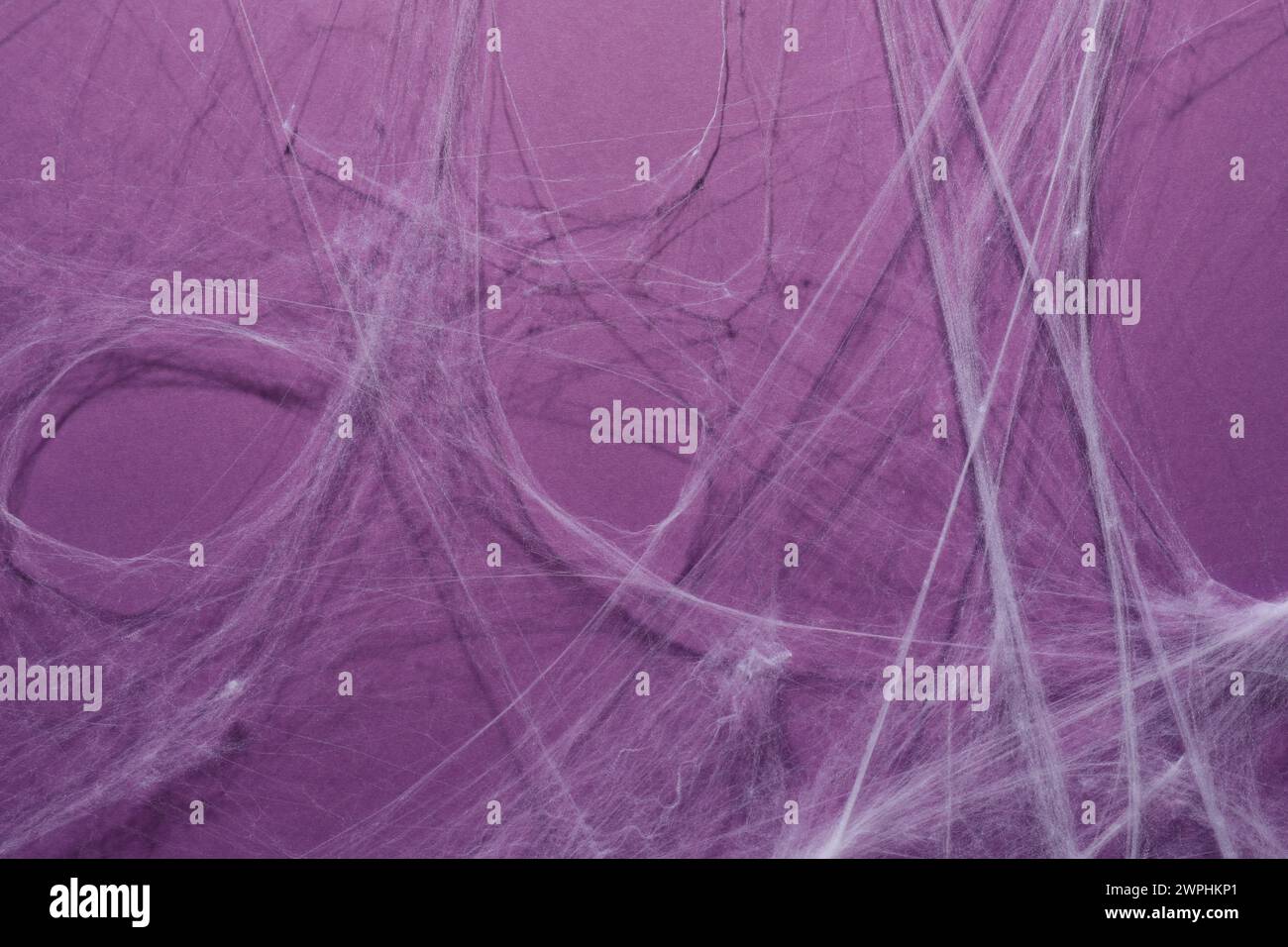 Cobweb hanging hi-res stock photography and images - Alamy