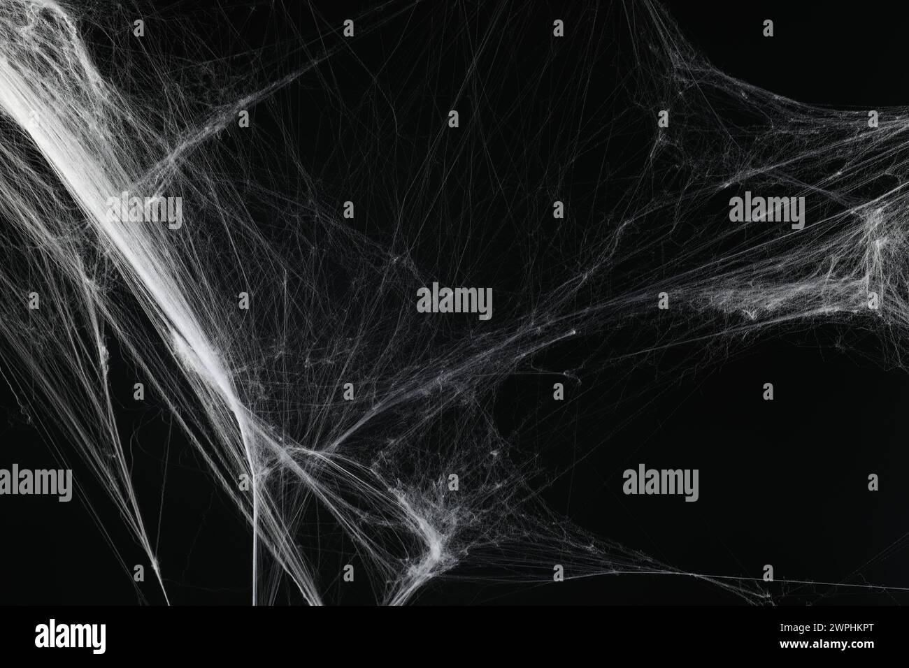 Creepy white spider web hi-res stock photography and images - Alamy