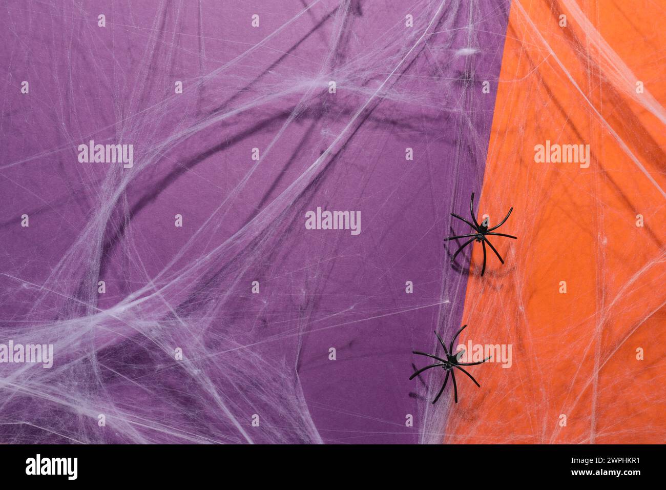 Cobweb and spiders on violet background, top view Stock Photo - Alamy
