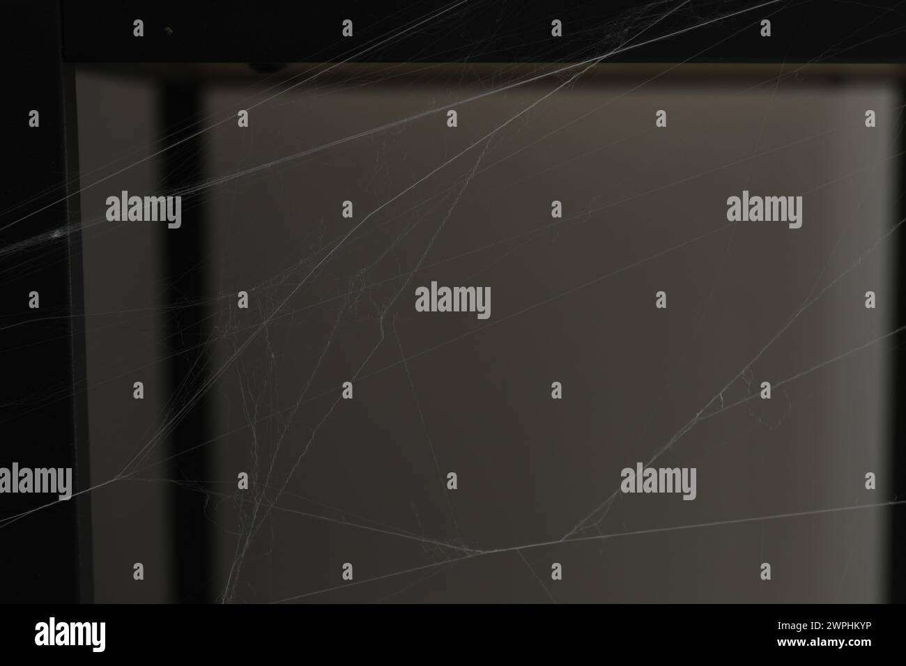 Old cobweb on rack in room, closeup Stock Photo - Alamy