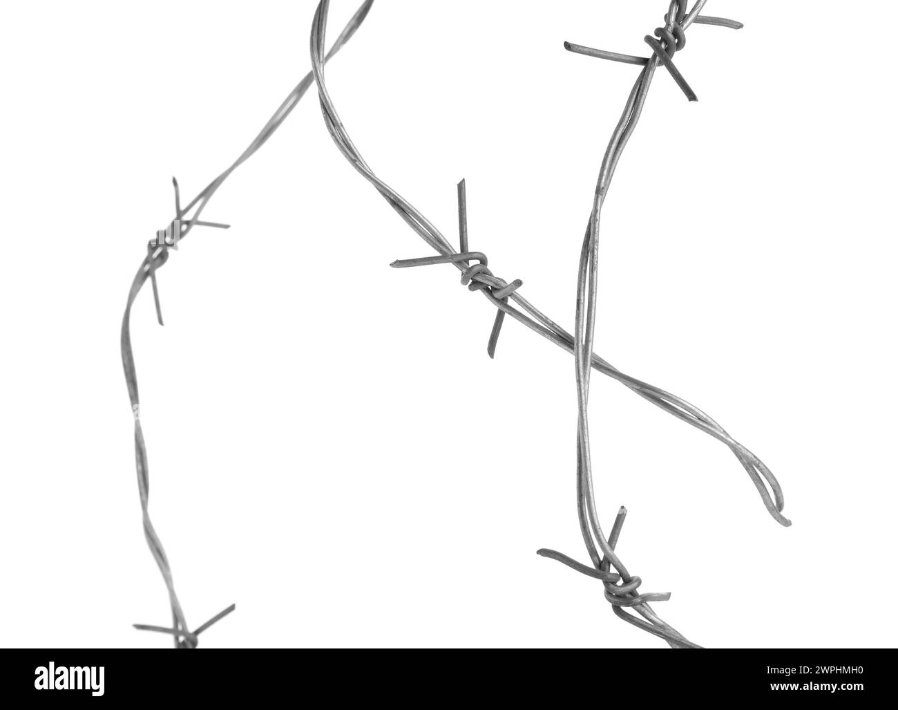 Thorn border Black and White Stock Photos & Images - Alamy