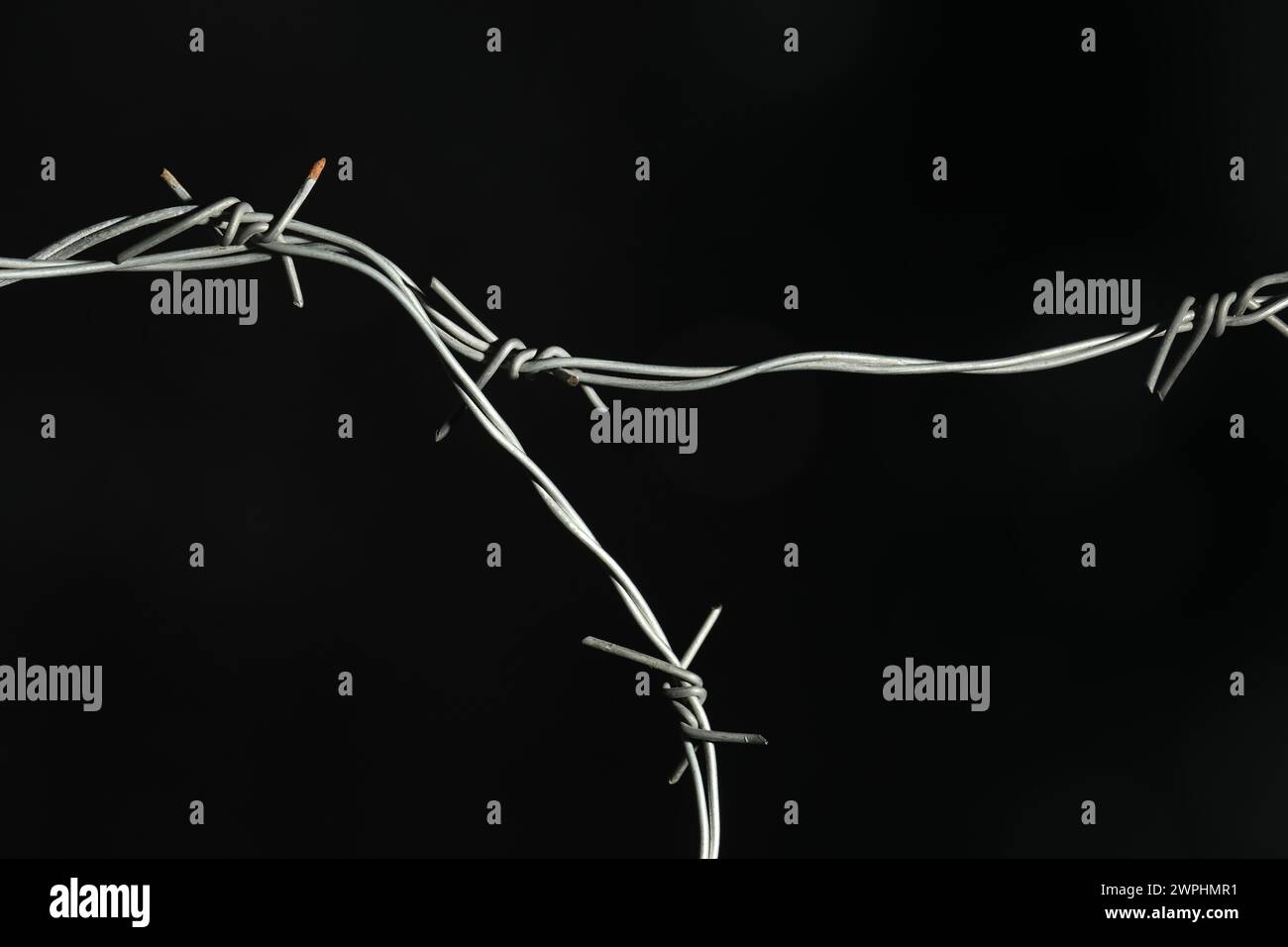 Shiny metal barbed wire on black background Stock Photo - Alamy