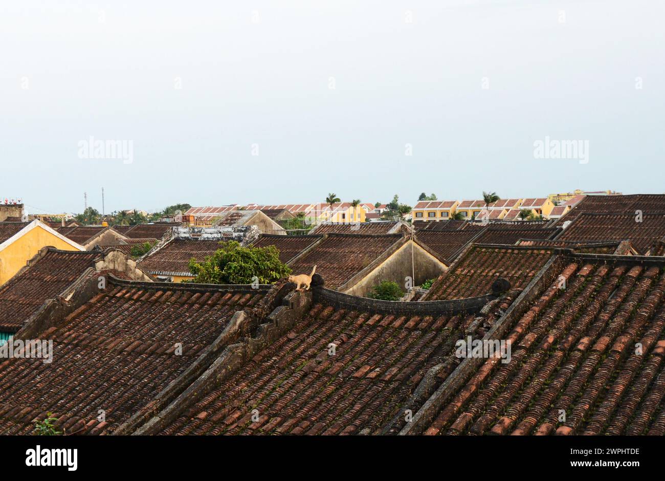 Traditional rooftops in the old city of Hoi An in Vietnam Stock Photo ...