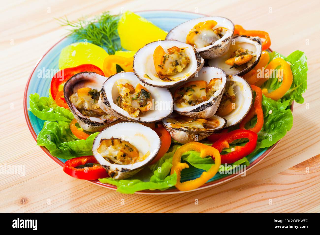 Dog cockles (bivalve mollusks Stock Photo - Alamy