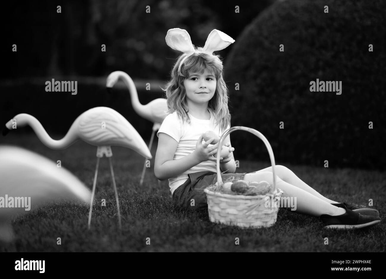 Easter egg hunt. Easter bunny boy. Child in bunny ears hunting easter ...