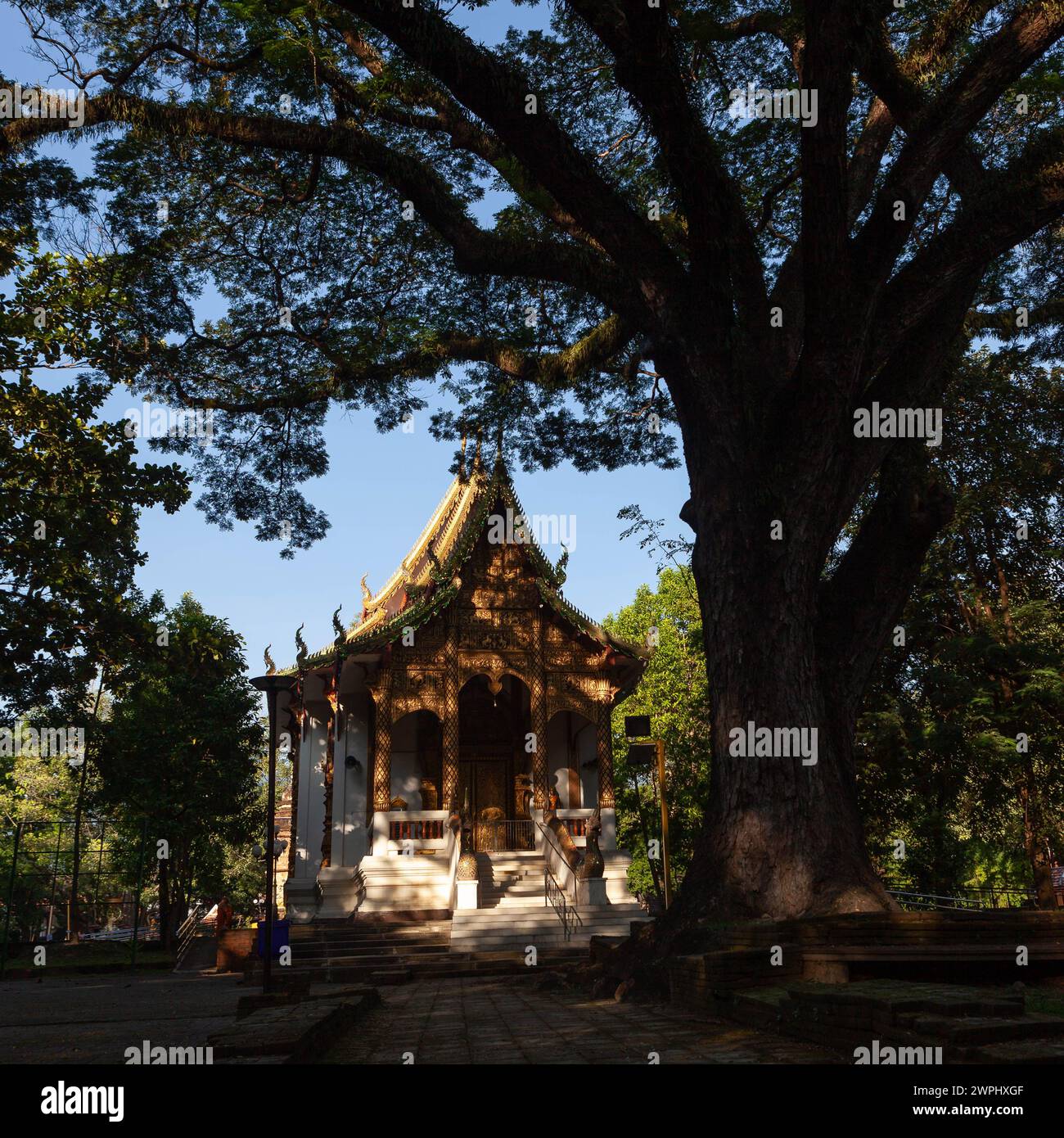 Wat jed yot temple hi-res stock photography and images - Alamy