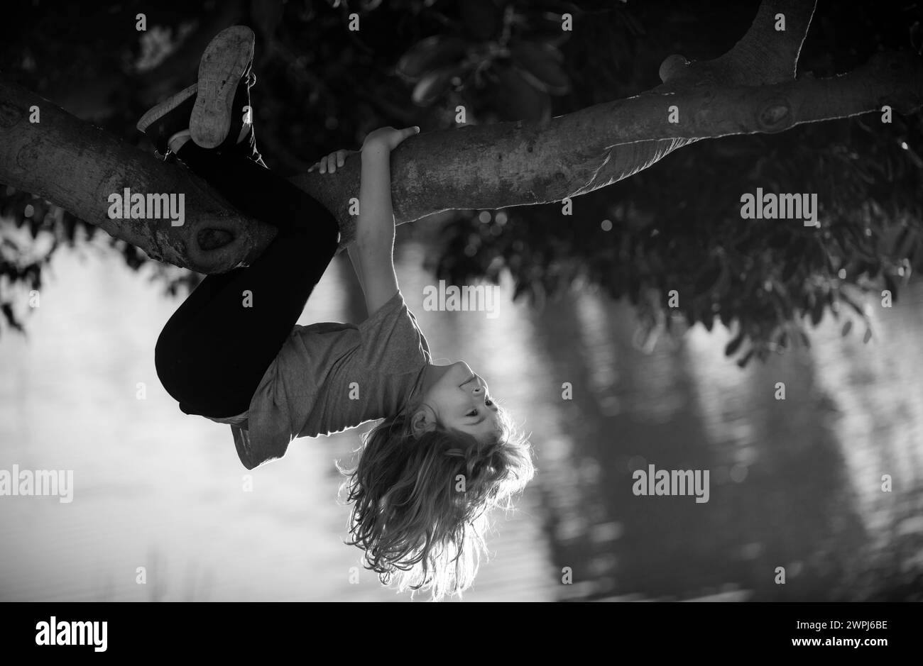 Little child boy trying to climb a tree. Kids climbing a tree. Happy ...