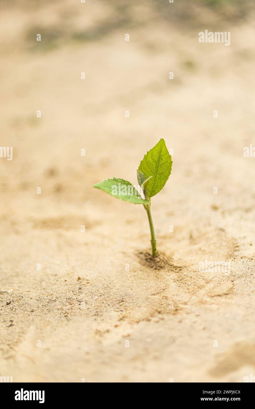 Human existence hi-res stock photography and images - Alamy