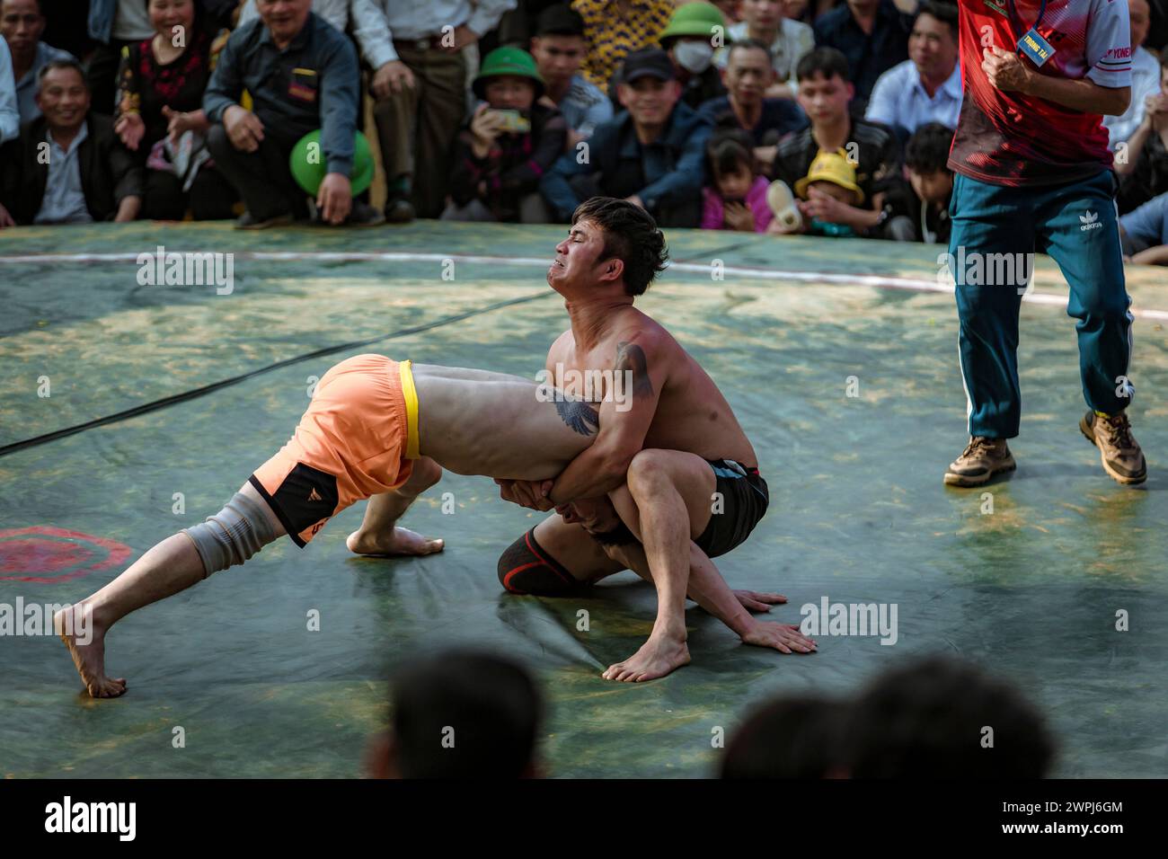 Traditional wrestling in a Vietnamese village Stock Photo - Alamy