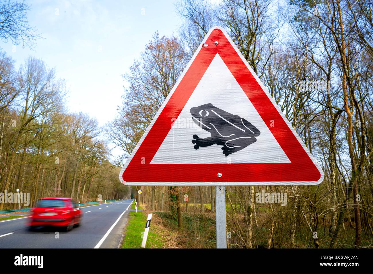 Road sign toad migration hi-res stock photography and images - Alamy