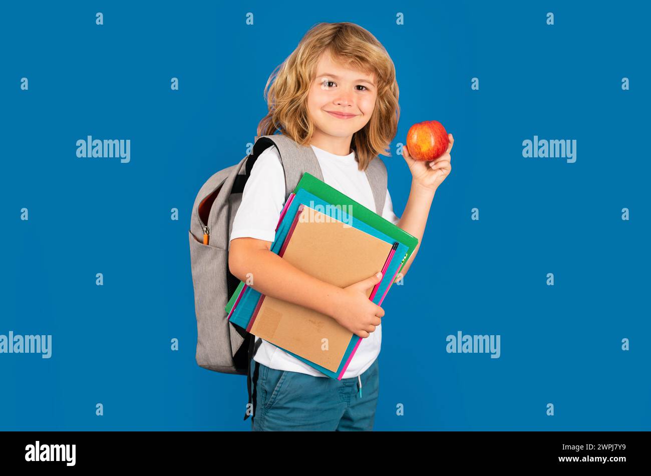 Portrait of pupil student hold book on blue isolated studio background ...