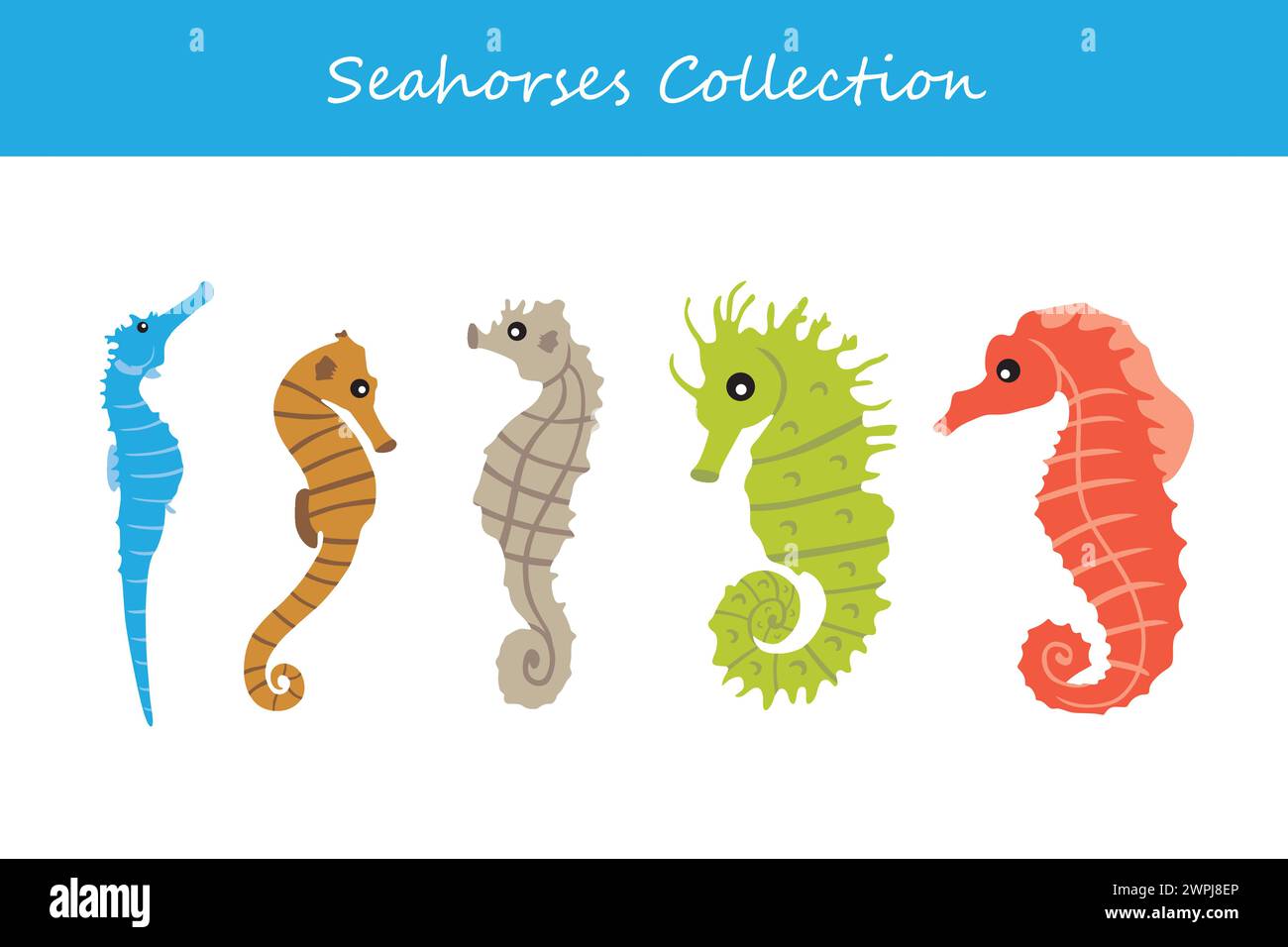 seahorses collection. Vector illustration. Isolated on white background ...
