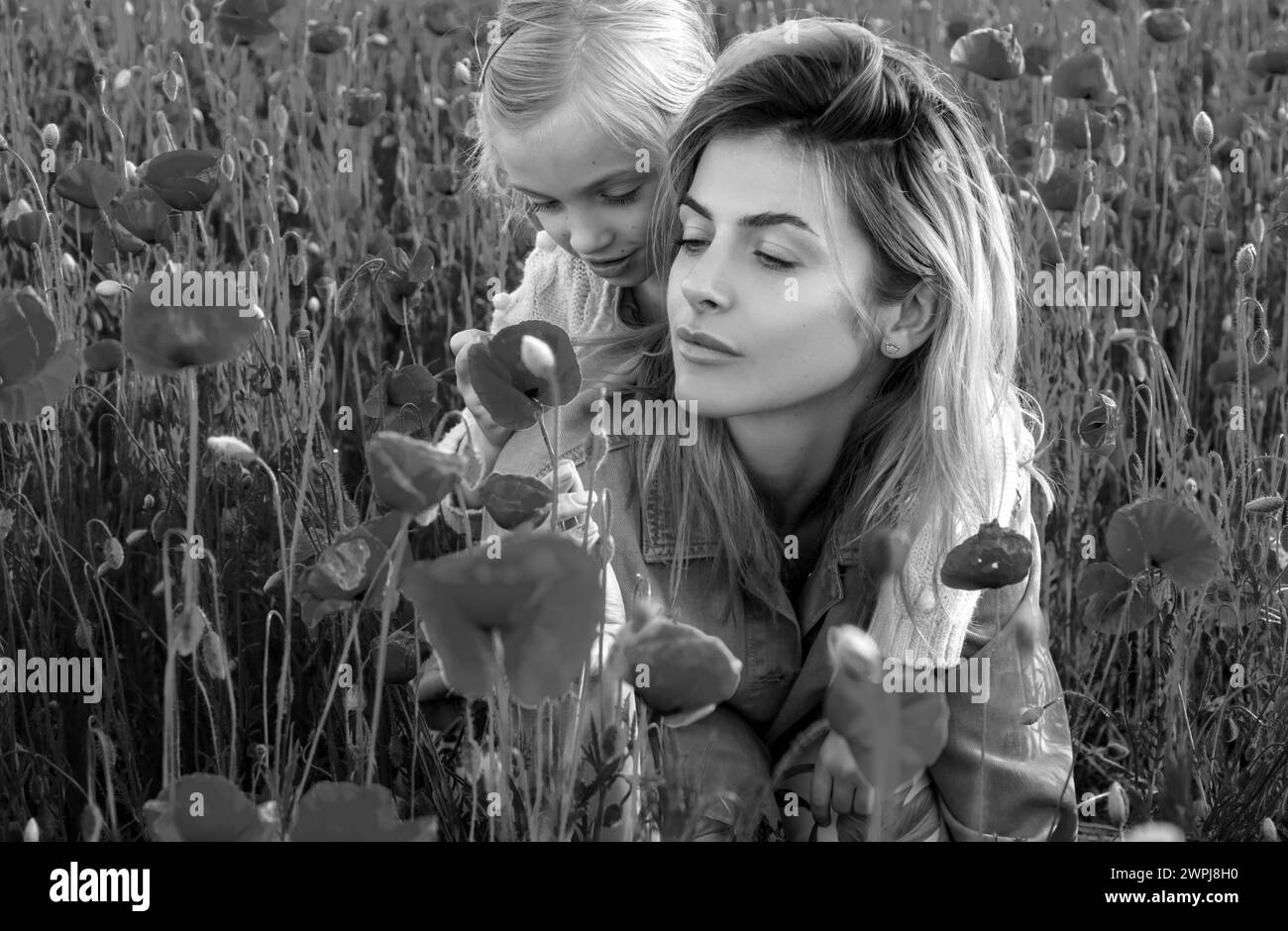 Woman with child girl in field with red poppies. Mother and daughter ...
