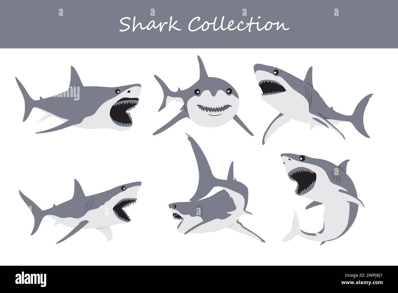 Shark in aquarium water Stock Vector Images - Alamy