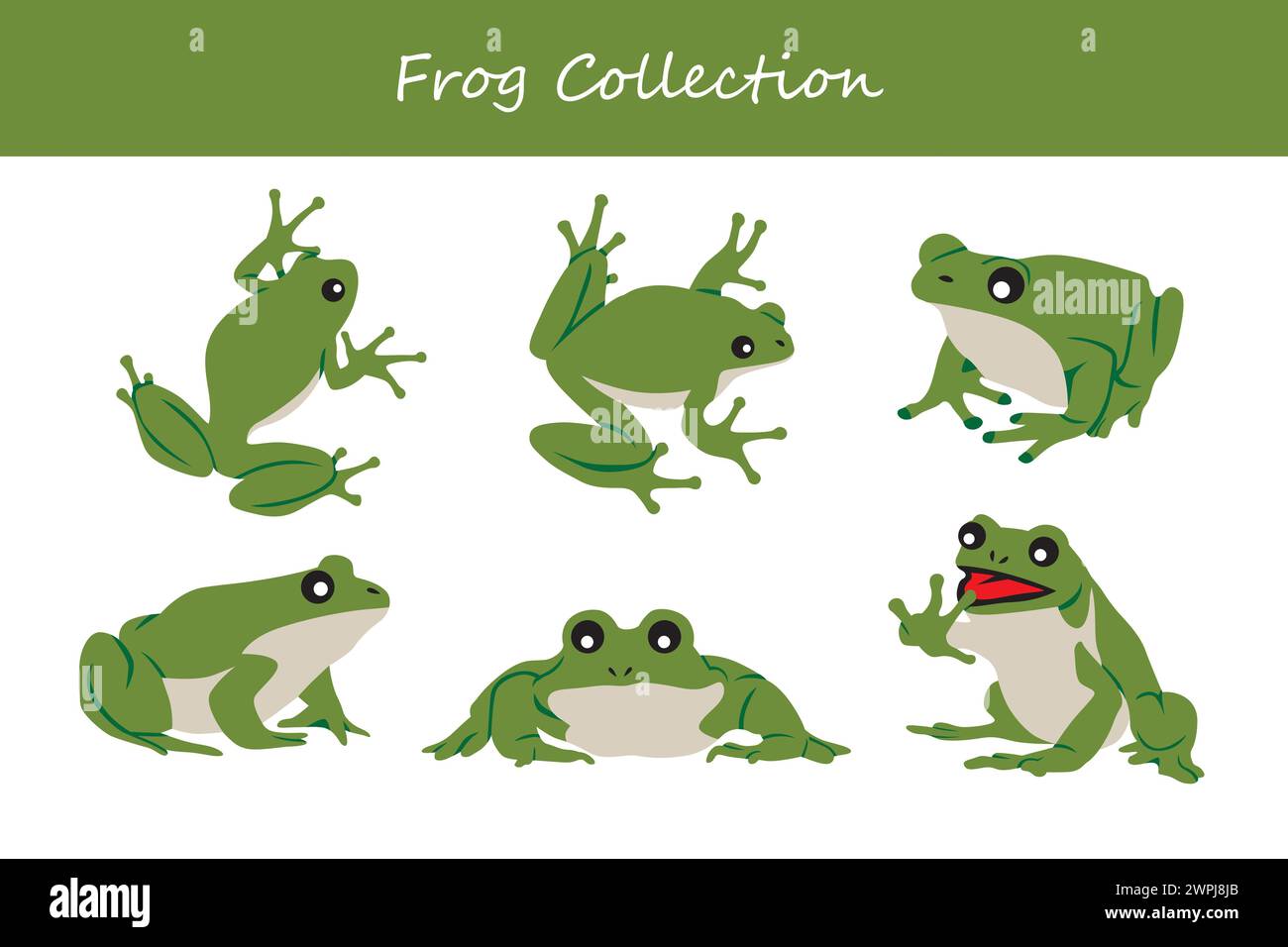 Set of frog in flat design style. Vector illustration Stock Vector ...