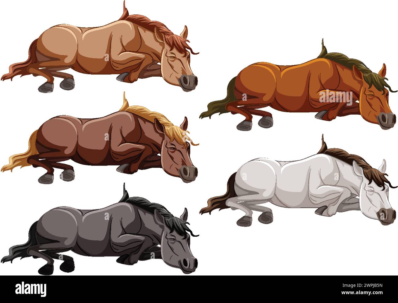 Collection of horses in different colors and poses Stock Vector Image ...