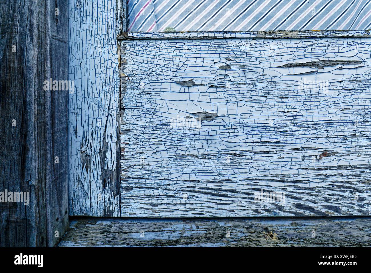 Weathered old paint cracked and peeling off of a wooden door Stock Photo - Alamy
