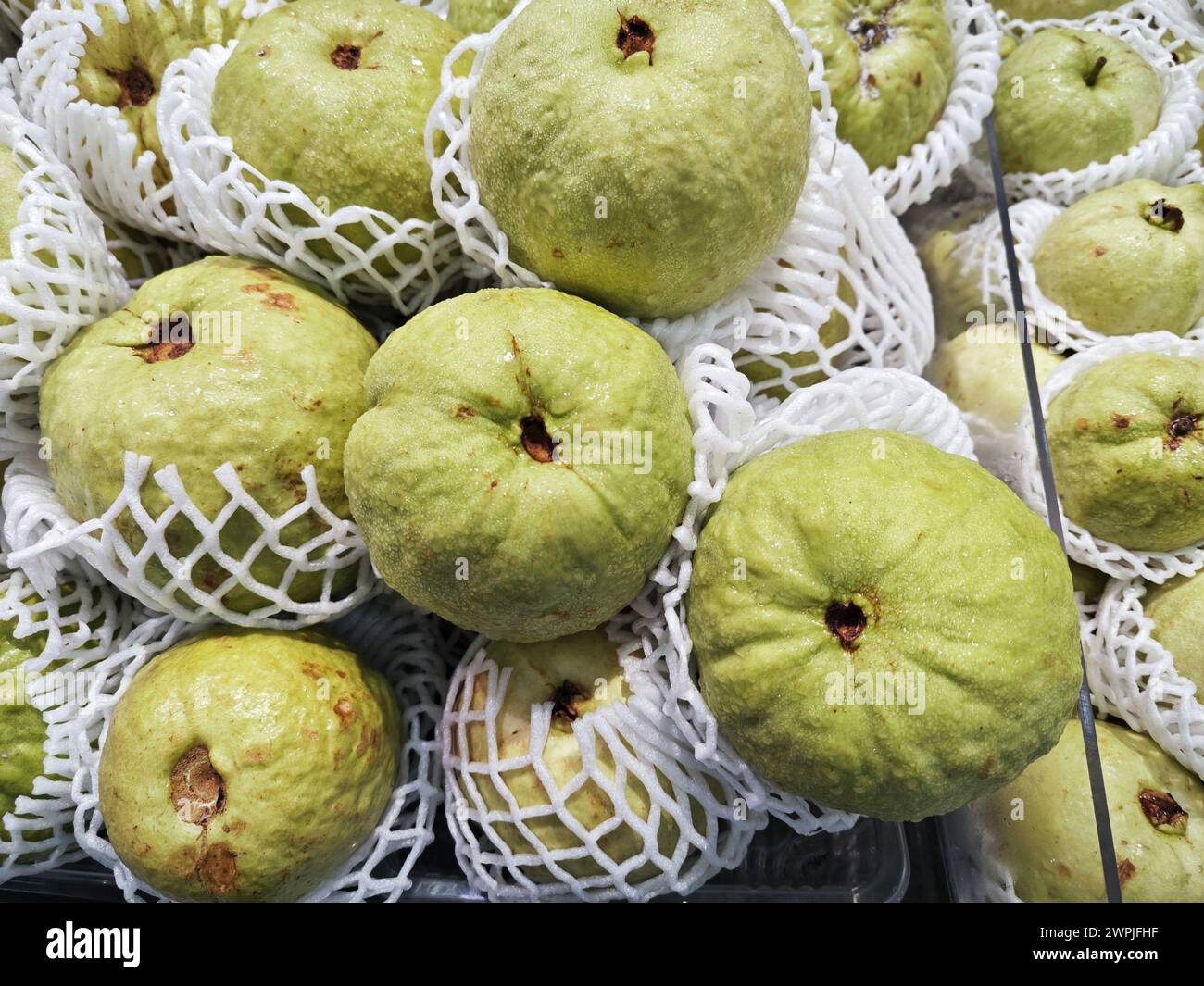green guava fruit wrapped in foam netting Stock Photo - Alamy