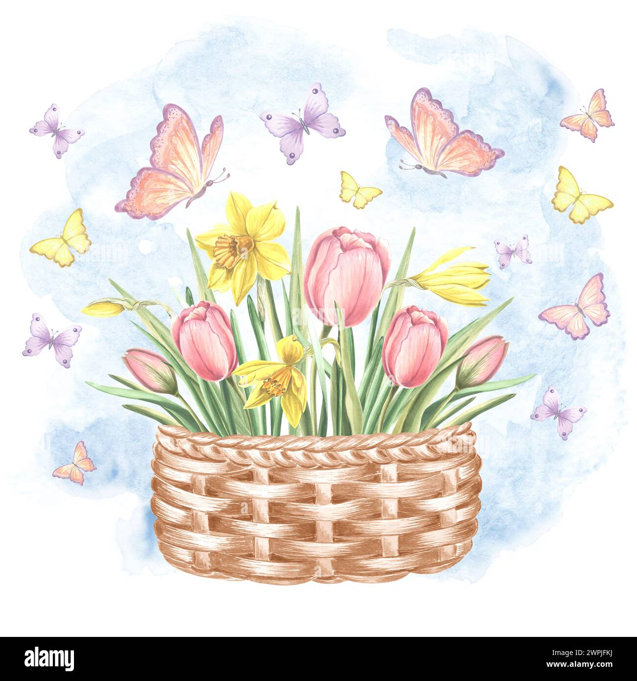 Basket Of Daffodils Clip Art
