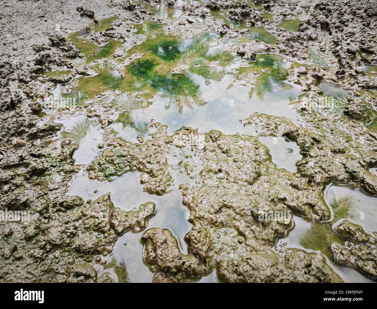 Sewage and sludge and field hi-res stock photography and images - Alamy