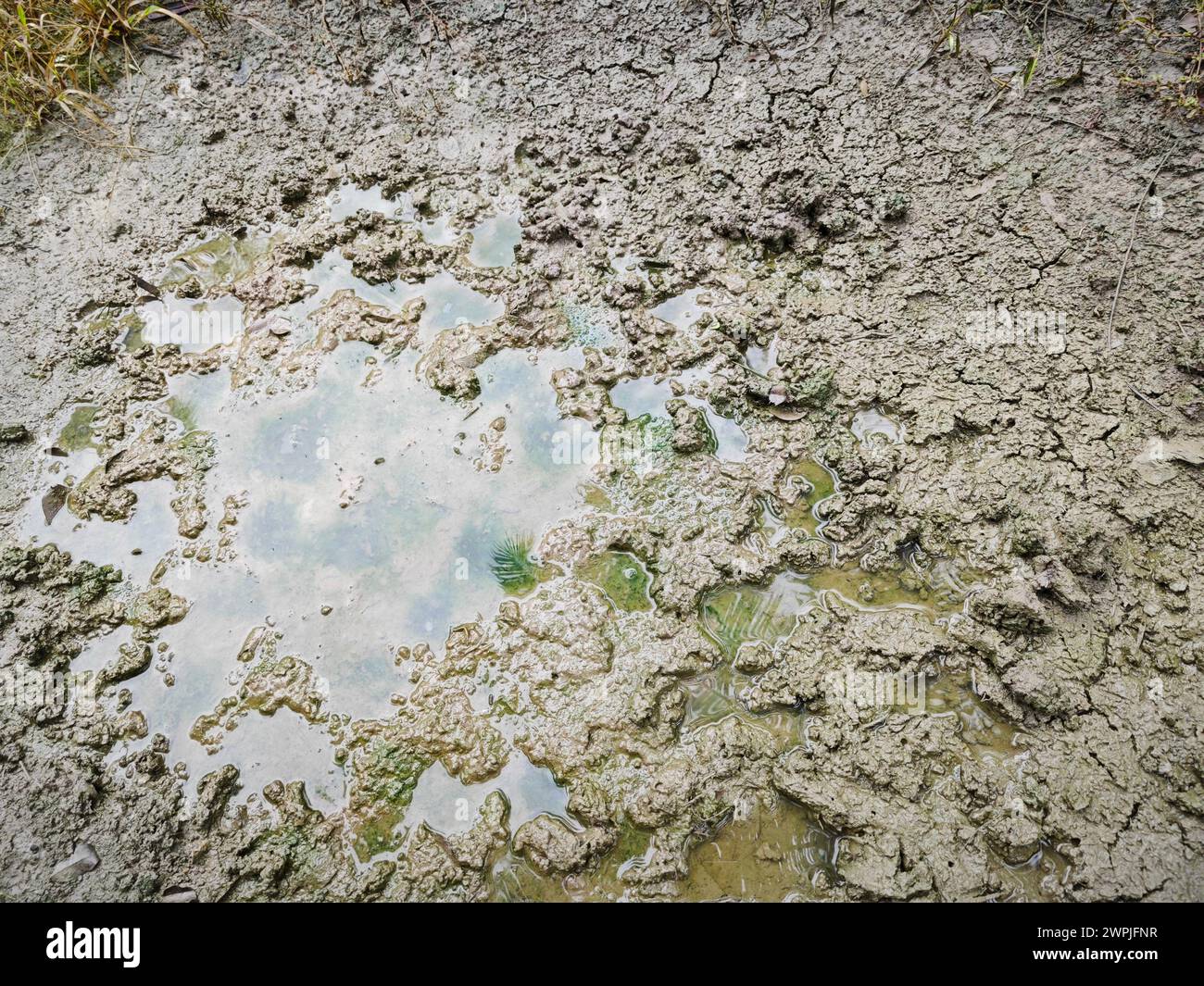 Puddle Sludge On the Ground after rain Stock Photo - Alamy