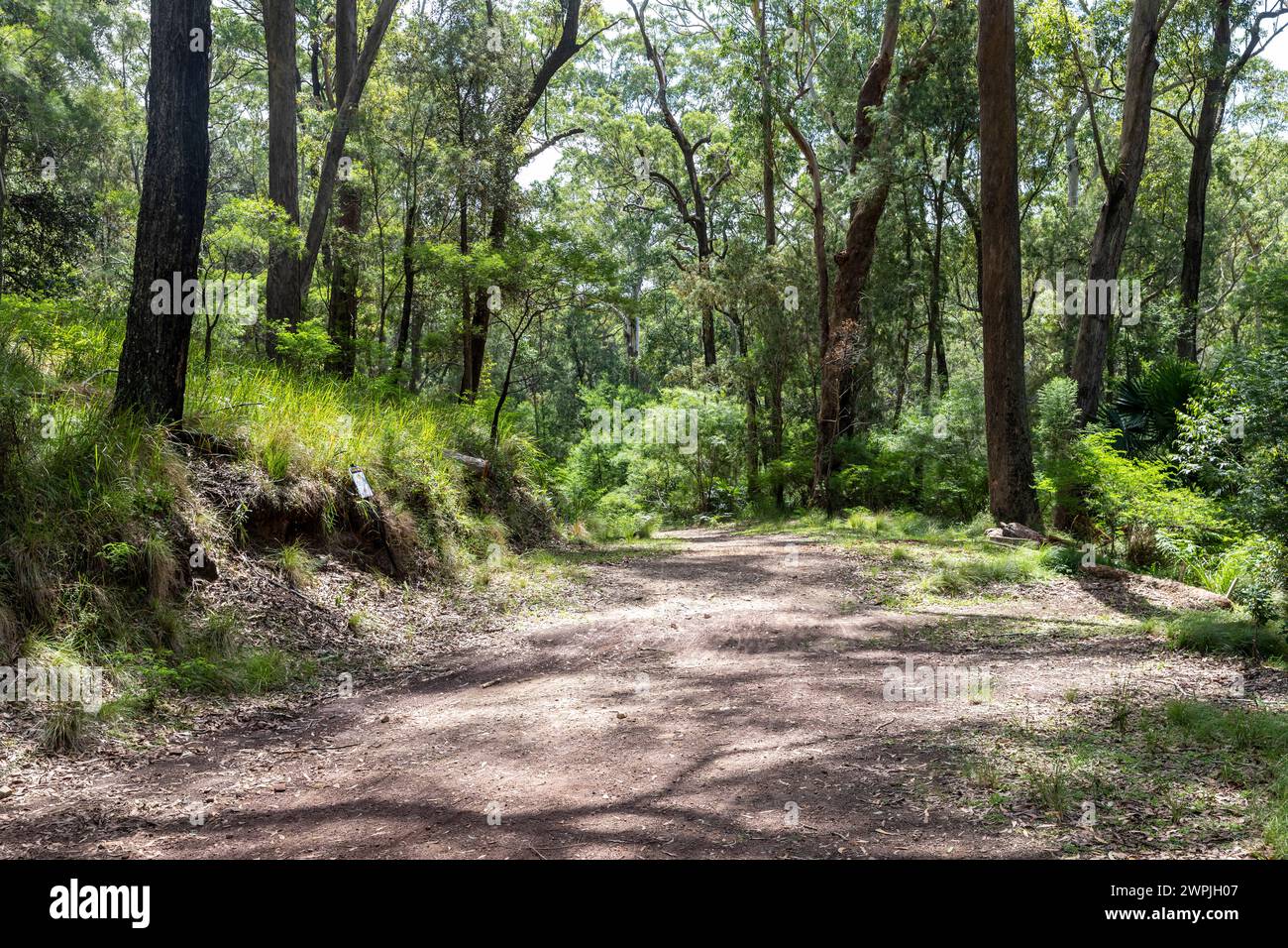 Royal National Park near Cronulla Sydney, Australia's oldest national ...