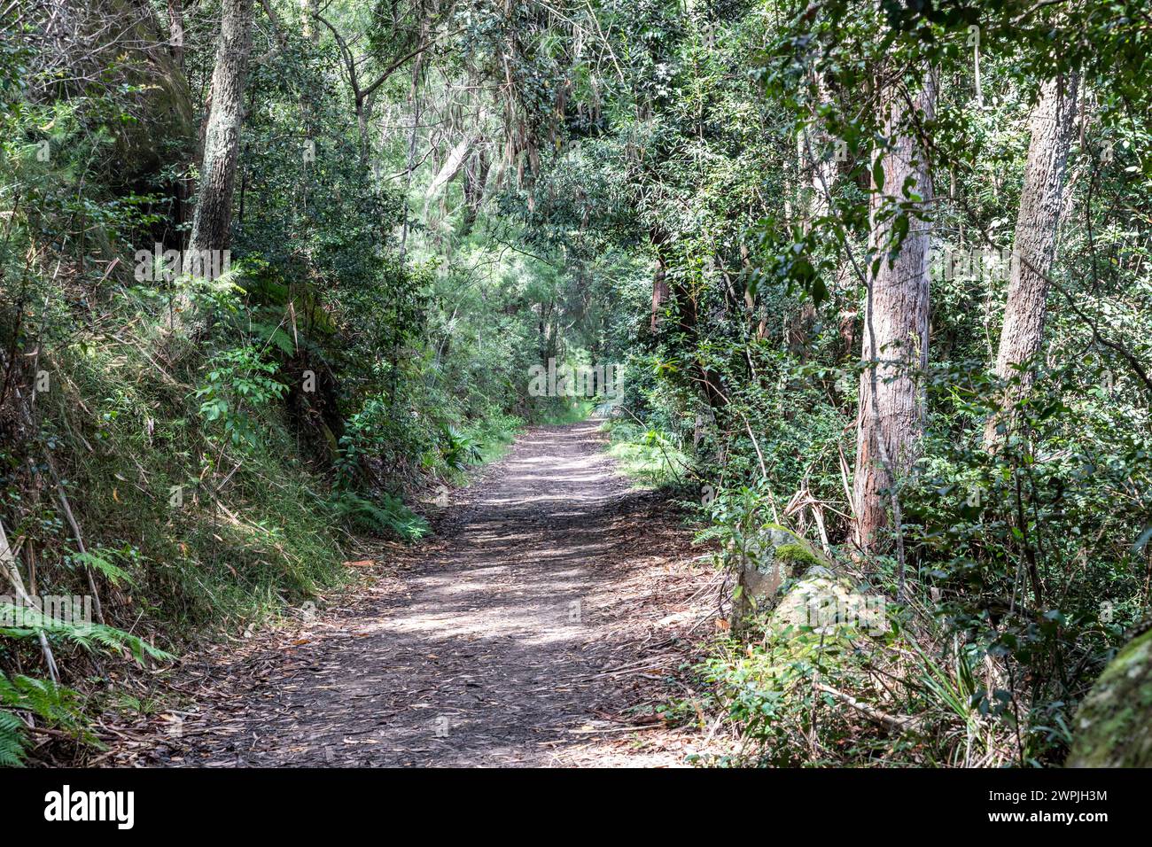 Royal National Park near Cronulla Sydney, Australia's oldest national ...