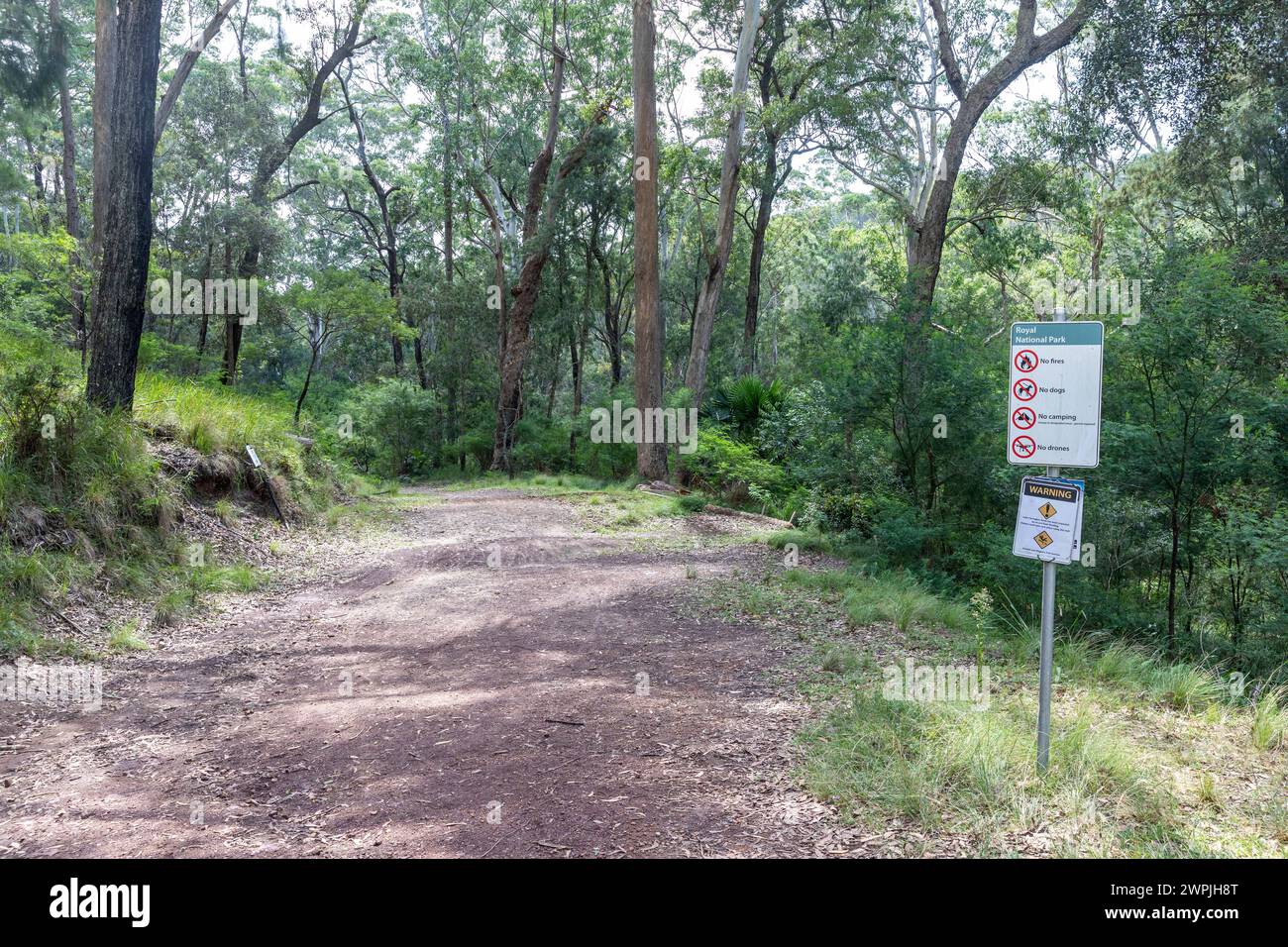 Lady Carrington drive in the Royal National park, near Cronulla in ...