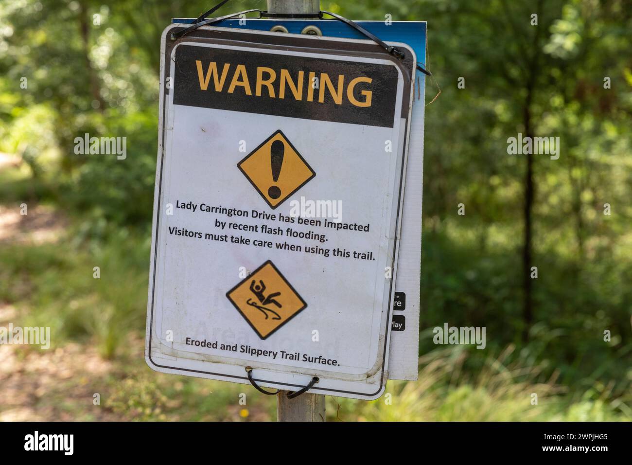 Lady Carrington Drive in Royal National Park, sign urges caution due to ...
