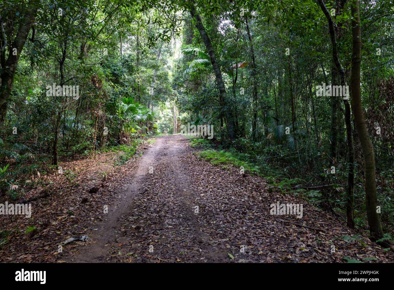 Royal National Park near Cronulla Sydney, Australia's oldest national ...