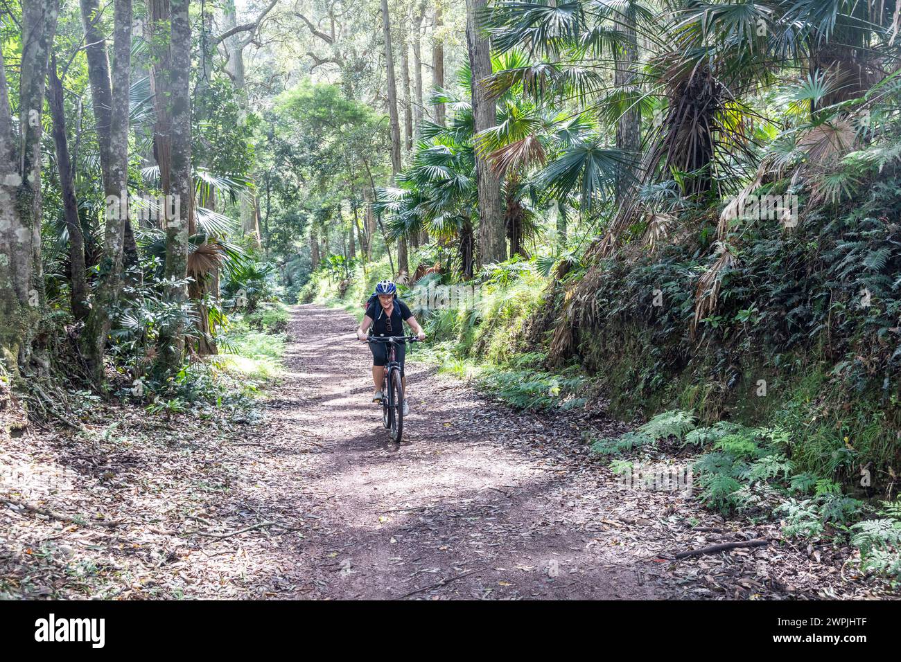 Model released female cyclist, middle aged woman riding mountain bike ...