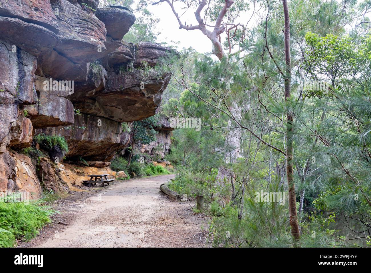 Lady Carrington Drive in the Royal National Park Sydney, large rock ...