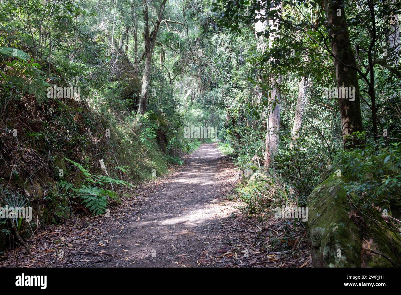 Royal National Park near Cronulla Sydney, Australia's oldest national ...
