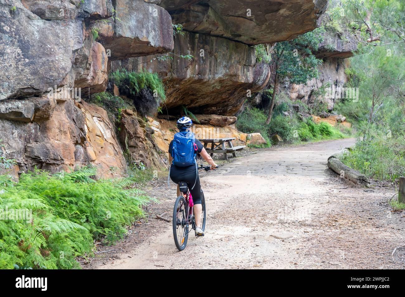 Middle aged woman, model released, rides her mountain bike along Lady ...