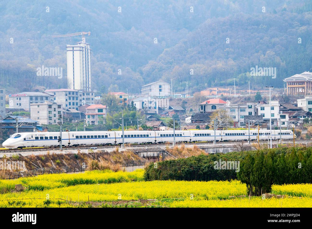 A bullet train is running among the blooming flowers on the Luoxiang ...