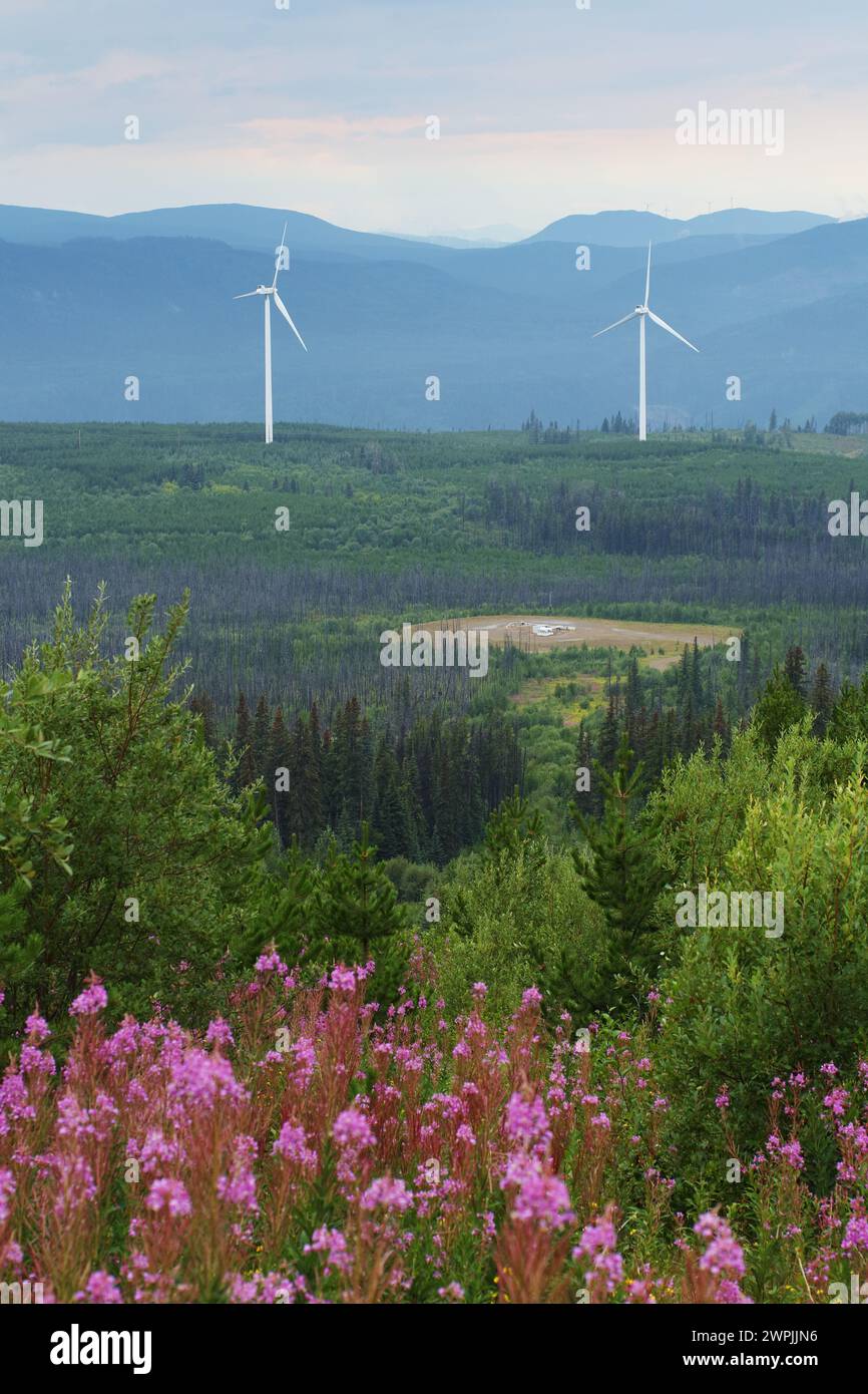 Clean energy wind farm in natural landscape Stock Photo - Alamy