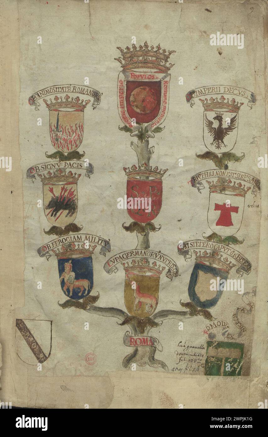 Root arms hi-res stock photography and images - Alamy