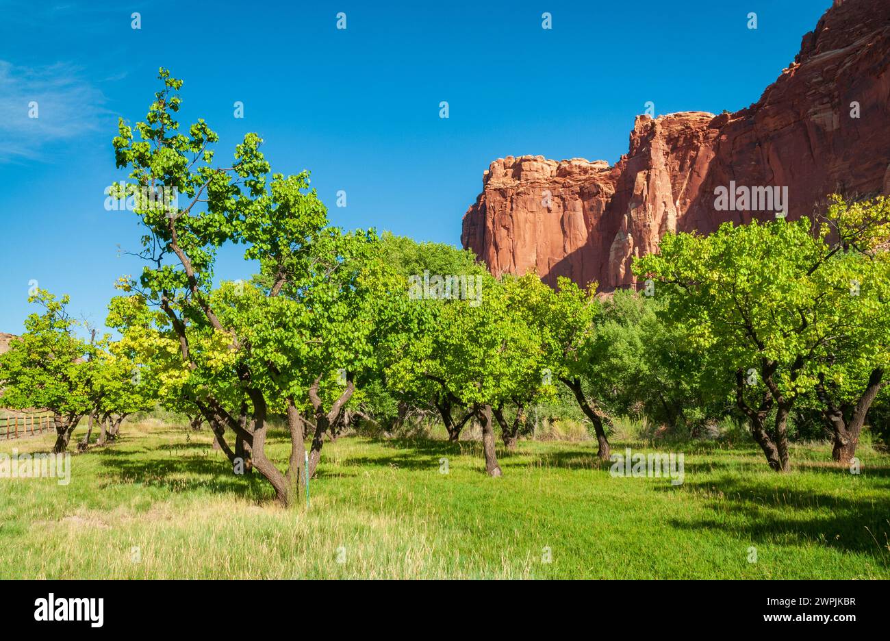 Plateaus and Orchards at Capitol Reef National Park in Utah, USA Stock ...