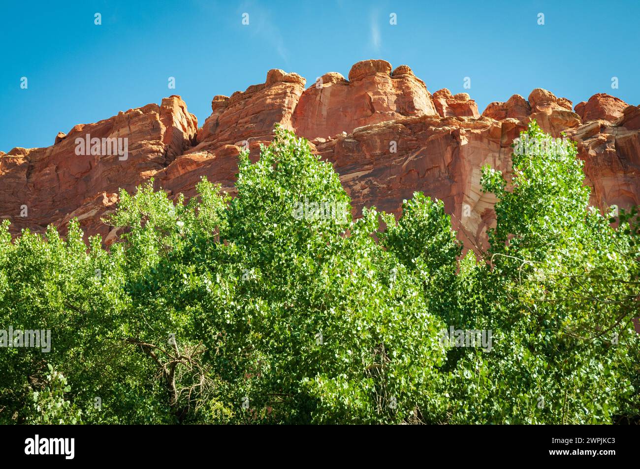 Plateaus and Orchards at Capitol Reef National Park in Utah, USA Stock ...