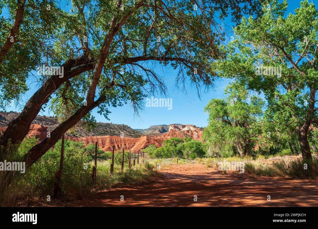 Plateaus and Orchards at Capitol Reef National Park in Utah, USA Stock ...