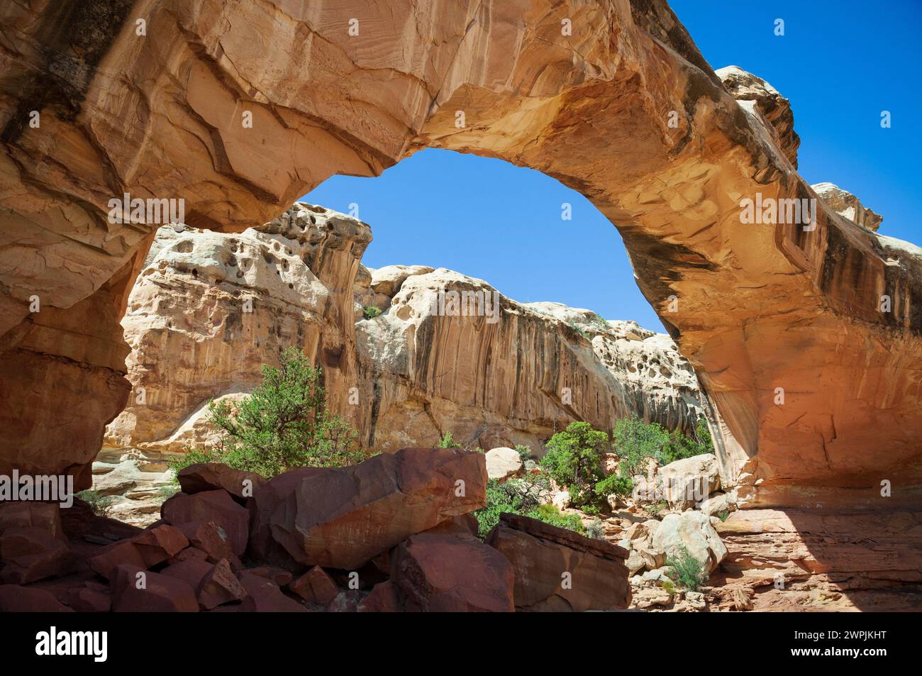 Hickman Bridge, a large, natural arch at Capitol Reef National Park in ...
