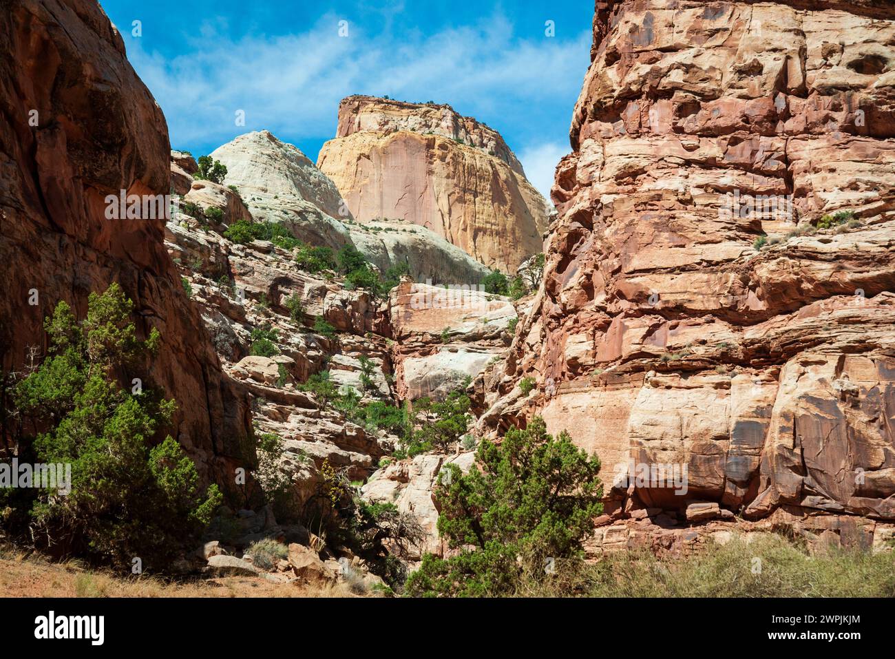 Capitol reef trails hi-res stock photography and images - Alamy