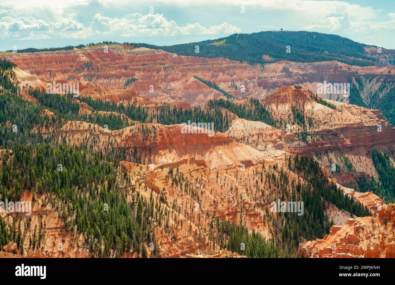 Cedar breaks trails hi-res stock photography and images - Alamy